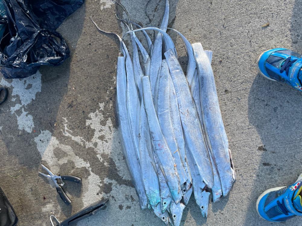 タチウオ！ | 和歌山県 紀ノ川河口 ワインド チャリコ | 陸っぱり 釣り・魚釣り | 釣果情報サイト カンパリ